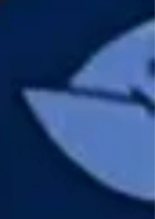 Cobia | Animals Wiki | Fandom