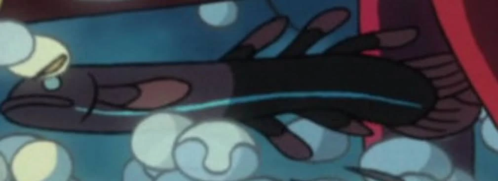 Mawsonia | Animals Wiki | Fandom