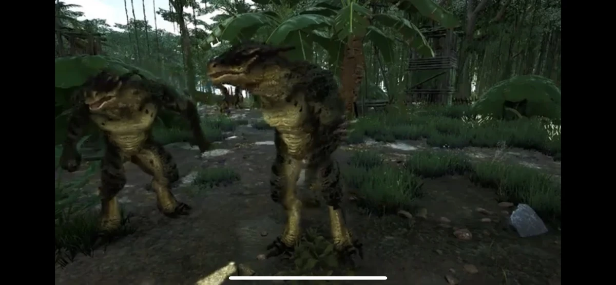 Dragonewt | Animals Wiki | Fandom