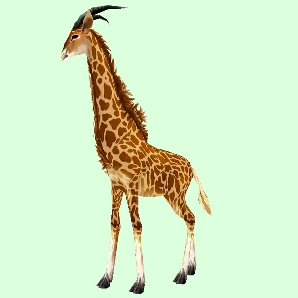 Giraffa jumae | Animals Wiki | Fandom
