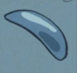 Wyrm | Animals Wiki | Fandom