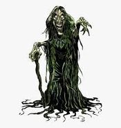Sea Hag | Animals Wiki | Fandom