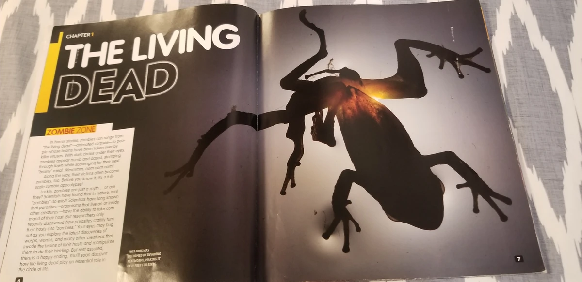 List of Species in Animal Zombies! | Animals Wiki | Fandom