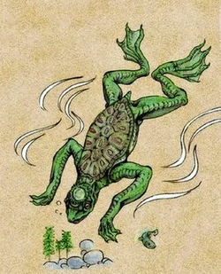 Kappa | Animals Wiki | Fandom