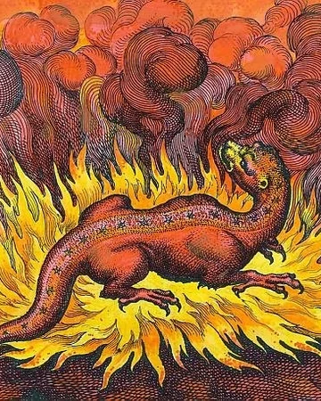 Salamander (Mythical Creature) | Animals Wiki | Fandom