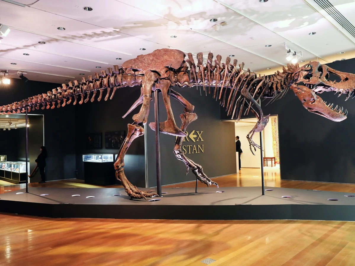 Category:Extinct Animals | Animals Wiki | Fandom