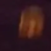 Mountain Rabbuck | Animals Wiki | Fandom