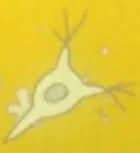 E.T Sponge | Animals Wiki | Fandom