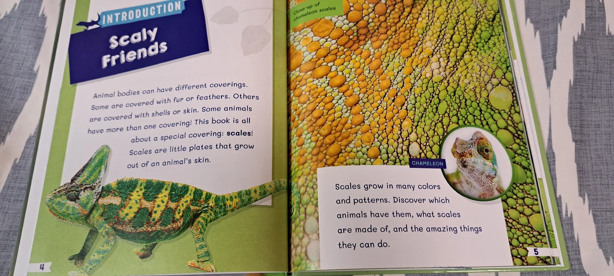 List of Species in Animal Coverings Scales | Animals Wiki | Fandom