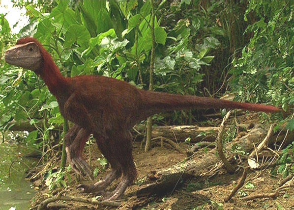 Pyroraptor | Animals Wiki | Fandom