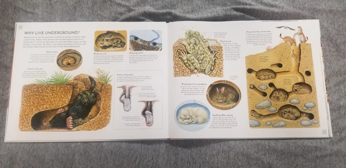 List of Species in DK Life Underground | Animals Wiki | Fandom