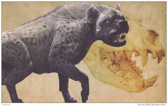 Dinocrocuta | Animals Wiki | Fandom