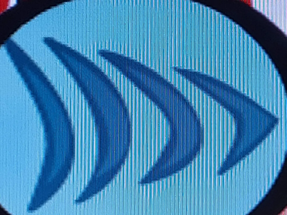 Falcatus | Animals Wiki | Fandom