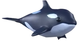 Orca | Animals Wiki | Fandom