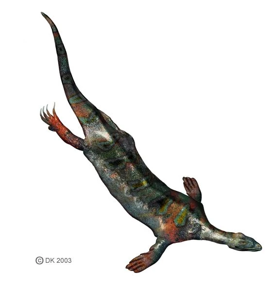 Lariosaurus | Animals Wiki | Fandom