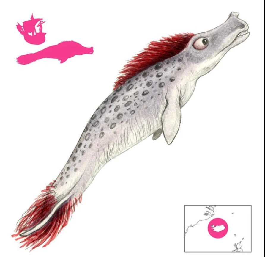 Hrosshvalur | Animals Wiki | Fandom