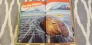 List of Species in National Geographic Readers Ugly Animals | Animals ...