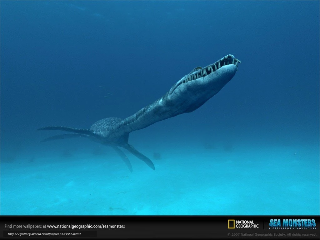 Styxosaurus | Animals Wiki | Fandom