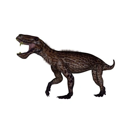 Lycaenops | Animals Wiki | Fandom