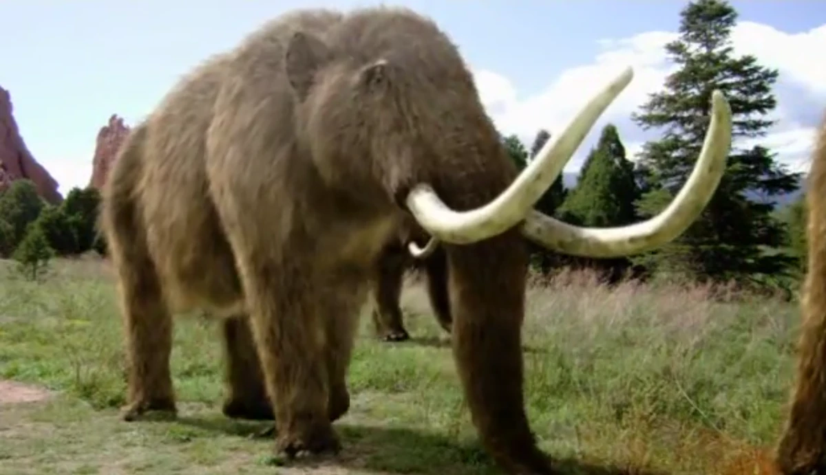 American Mastodon | Animals Wiki | Fandom