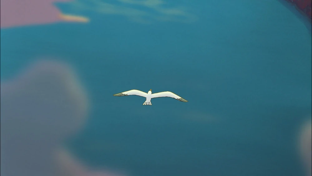 Pacific Gull | Animals Wiki | Fandom