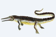 Mesosaurus | Animals Wiki | Fandom
