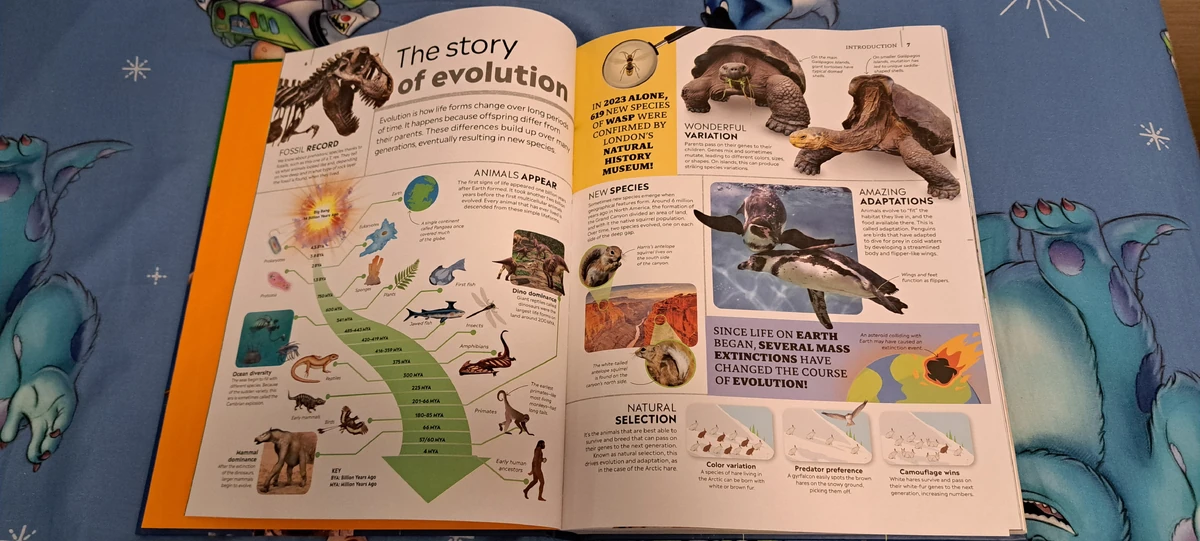 List of Species in DK Eyewitness Encyclopedia of Animals | Animals Wiki ...