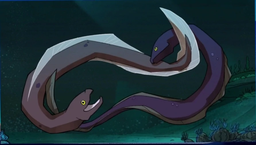 Turkey Moray | Animals Wiki | Fandom