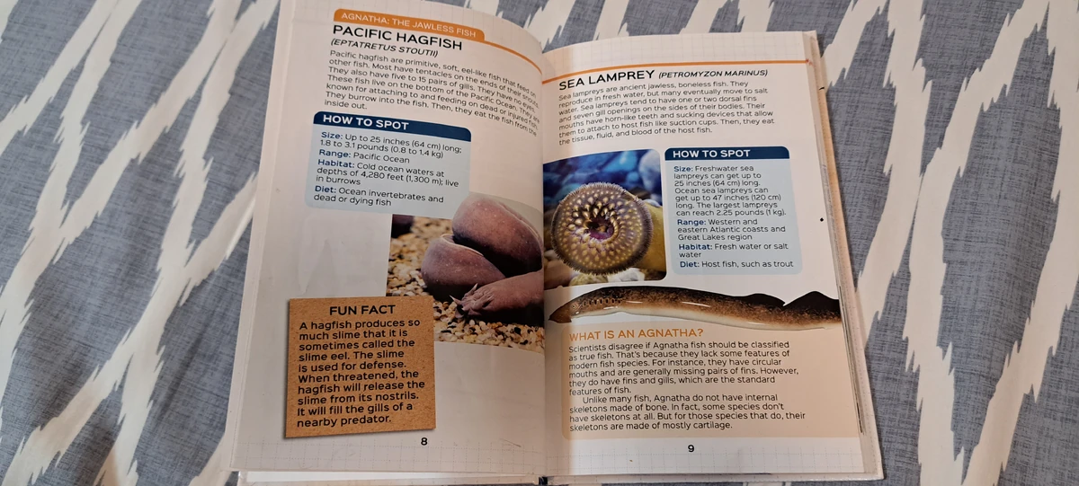 List of Species in Field Guides For Kids Fish | Animals Wiki | Fandom