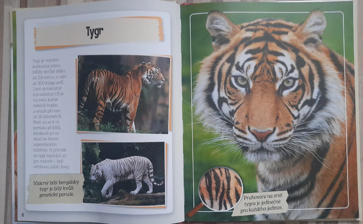 List of Species in Extraordinary Animals Super-Predators | Animals Wiki ...