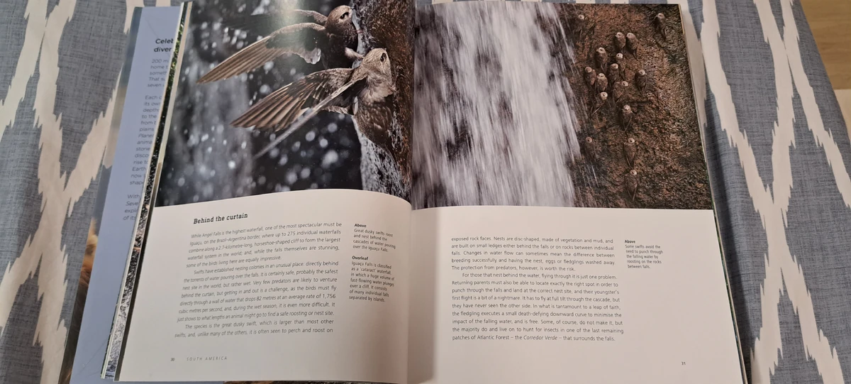 List of Species in Seven Worlds One Planet Book | Animals Wiki | Fandom