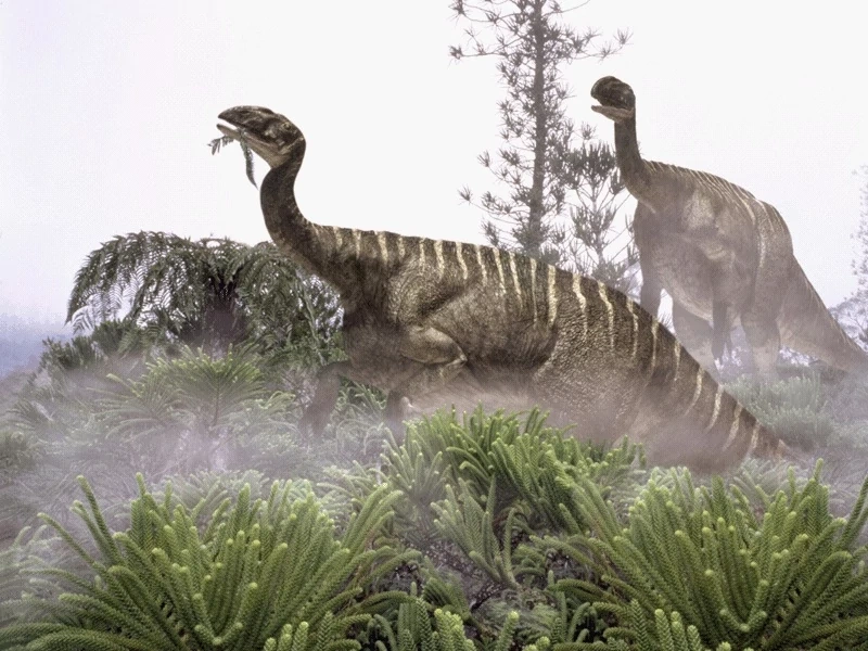 Plateosaurus | Animals Wiki | Fandom