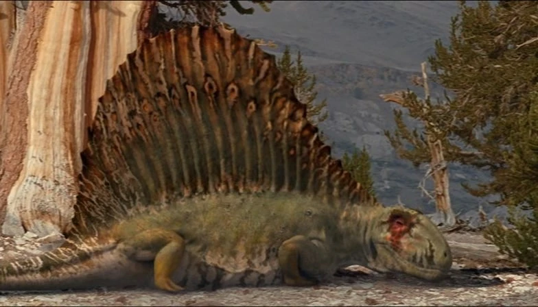 Category:Synapsids | Animals Wiki | Fandom