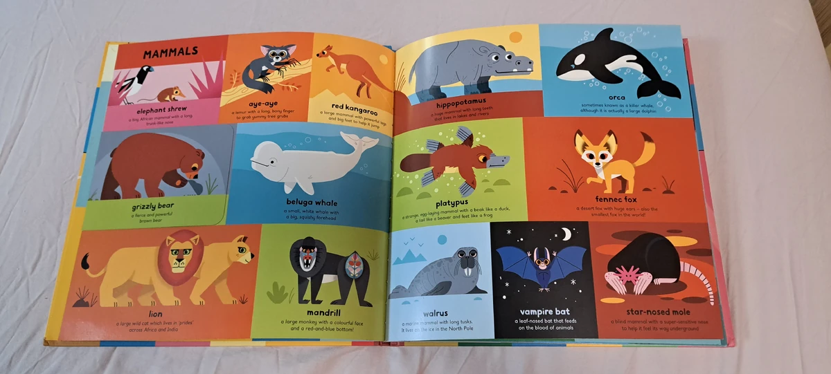 List of Species in My First Book of Everything Animals | Animals Wiki ...