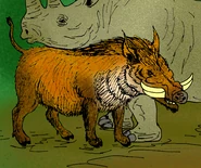 Giant Warthog | Animals Wiki | Fandom