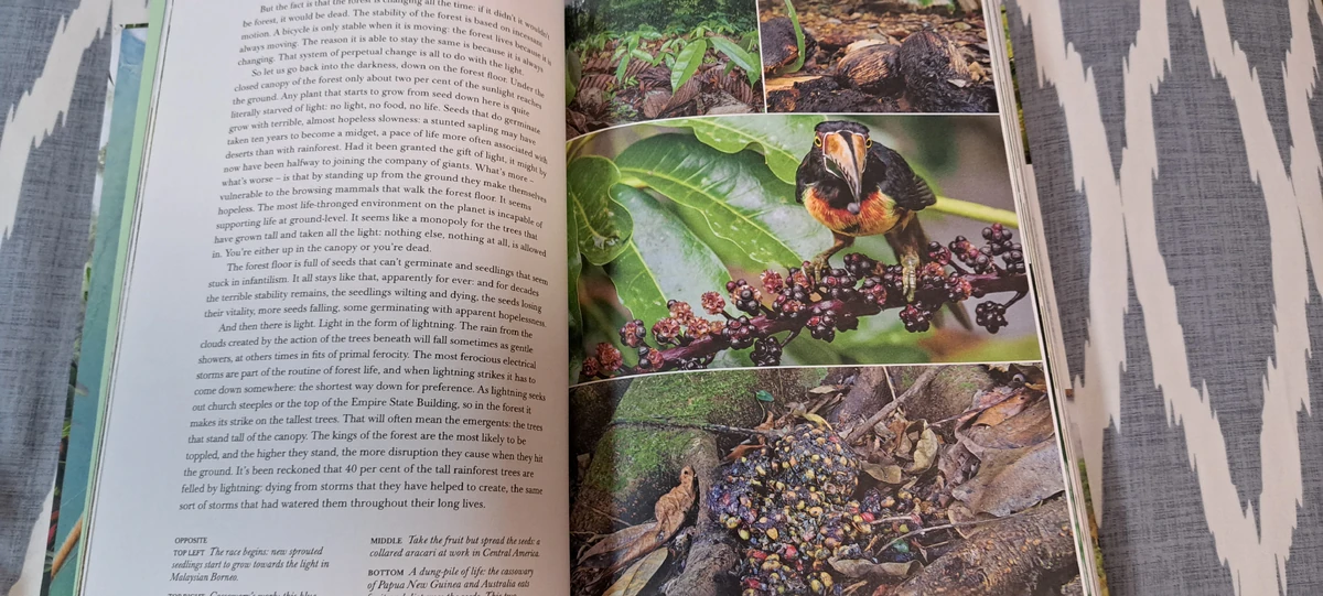 List of Species in The Green Planet Book | Animals Wiki | Fandom