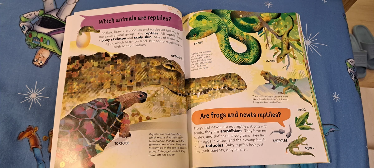 List of Species in I Wonder Why Snakes Shed Their Skin | Animals Wiki ...