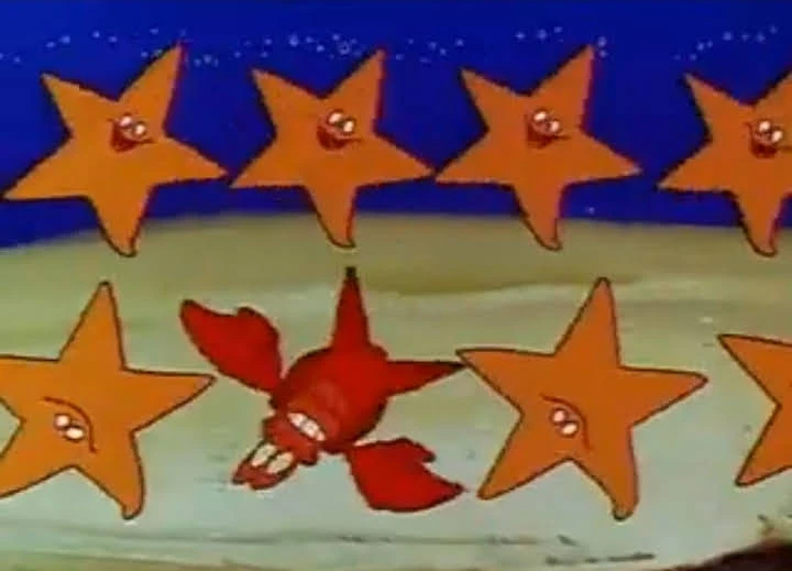 Ghardaqa Starfish | Animals Wiki | Fandom