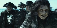 Revenant | Animals Wiki | Fandom
