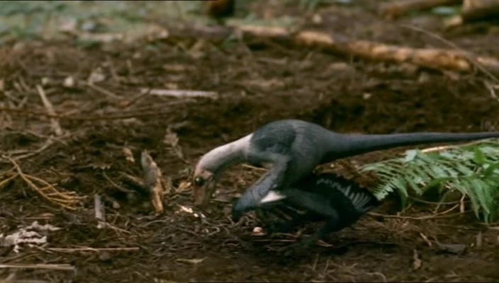 Microraptor | Animals Wiki | Fandom