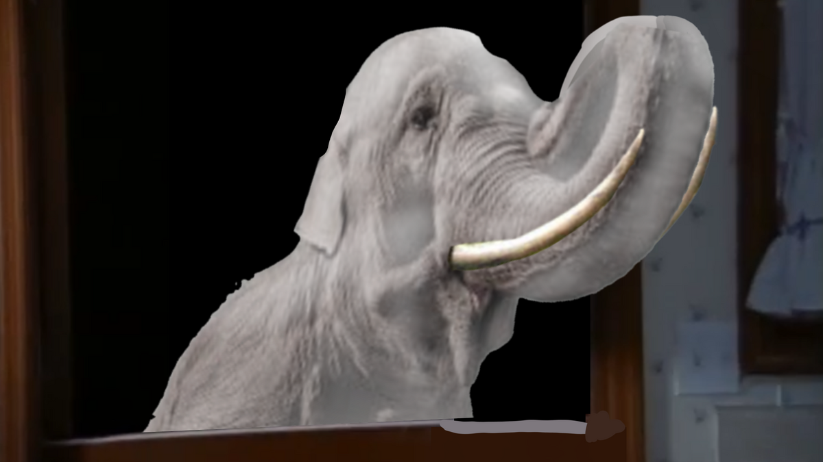 Domestic Elephant | Animals Wiki | Fandom Domestic Elephant | Animals Wiki | Fandom