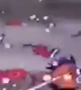 Tidepool Sculpin | Animals Wiki | Fandom