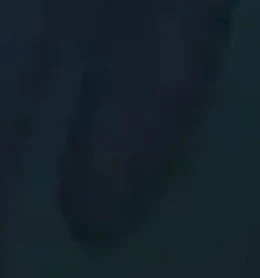 Rinkhals | Animals Wiki | Fandom