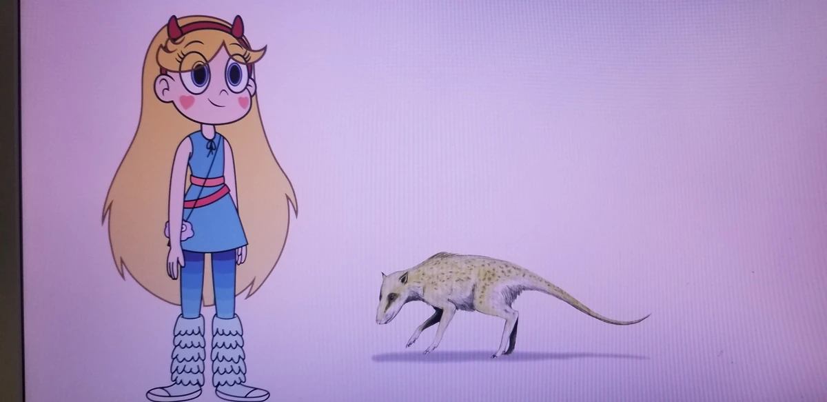 Indohyus | Animals Wiki | Fandom