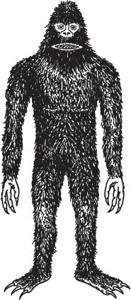 Yowie | Animals Wiki | Fandom