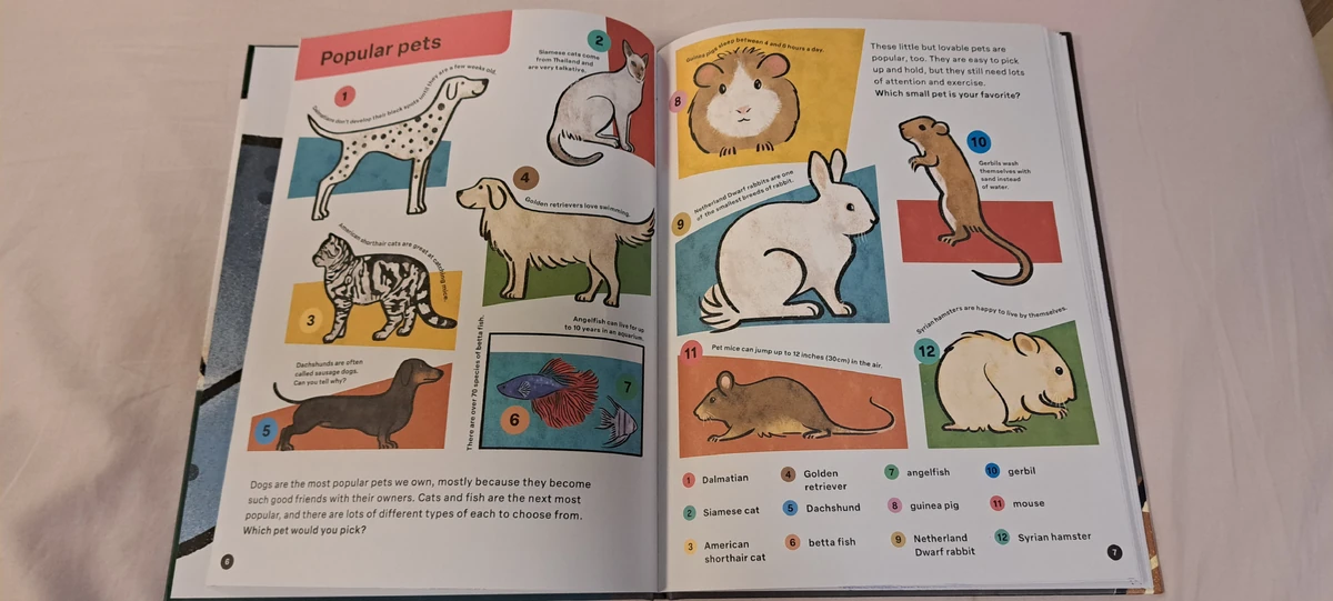 List of Species in Spring Street Discover Animals | Animals Wiki | Fandom