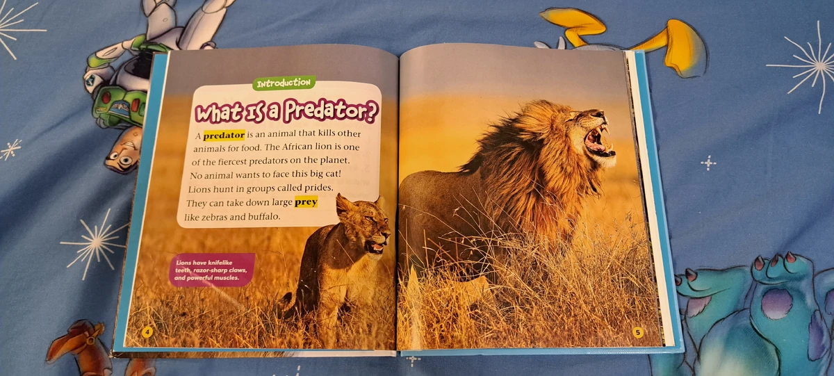 List of Species in Powerful Predators | Animals Wiki | Fandom