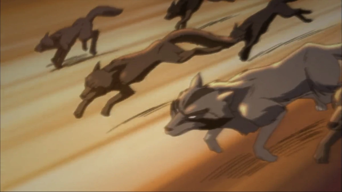 Hokkaido Wolf | Animals Wiki | Fandom