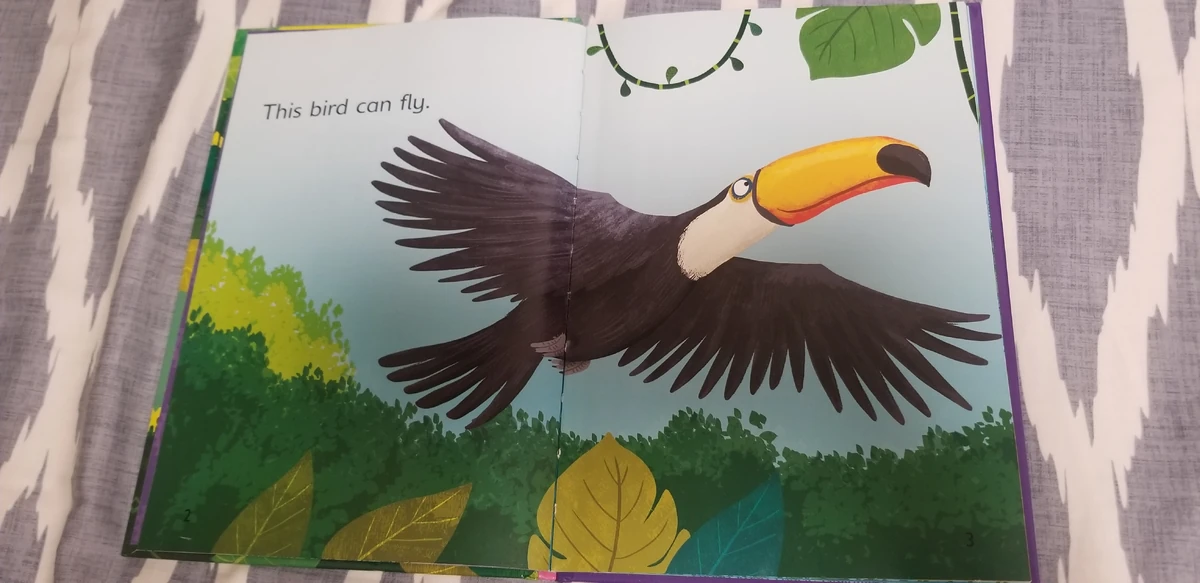 List of Species in Animals that Fly | Animals Wiki | Fandom