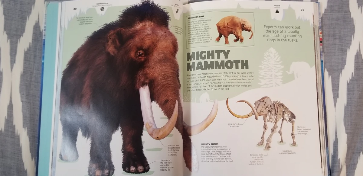 List of Species in DK Ice | Animals Wiki | Fandom